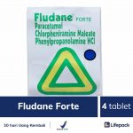 FLUDANE FORTE 4 TABLET - Obat Flu, Demam, Sakit Kepala - LIFEPACK ...