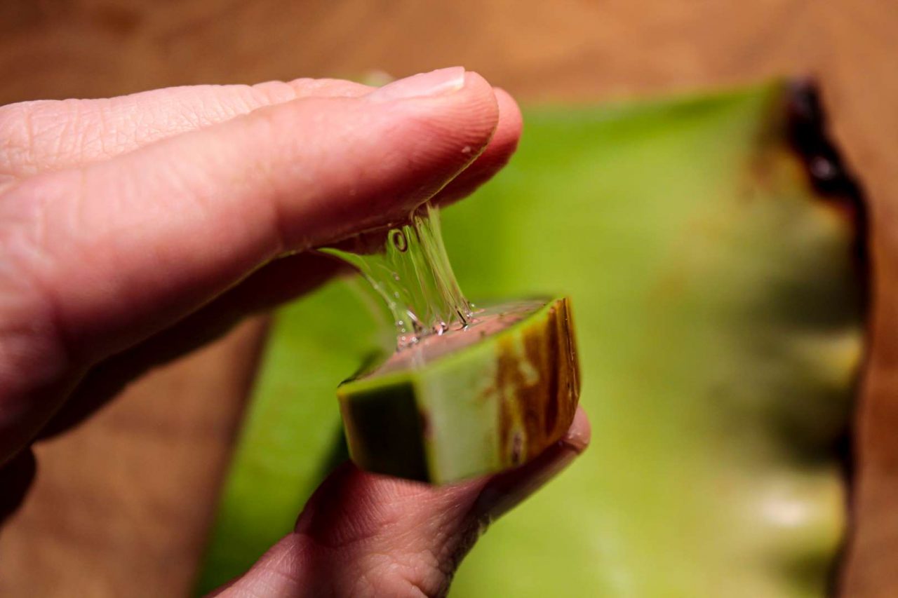 Obat Erdostein: Manfaat, Dosis, Dan Efek Samping | Lifepack.id